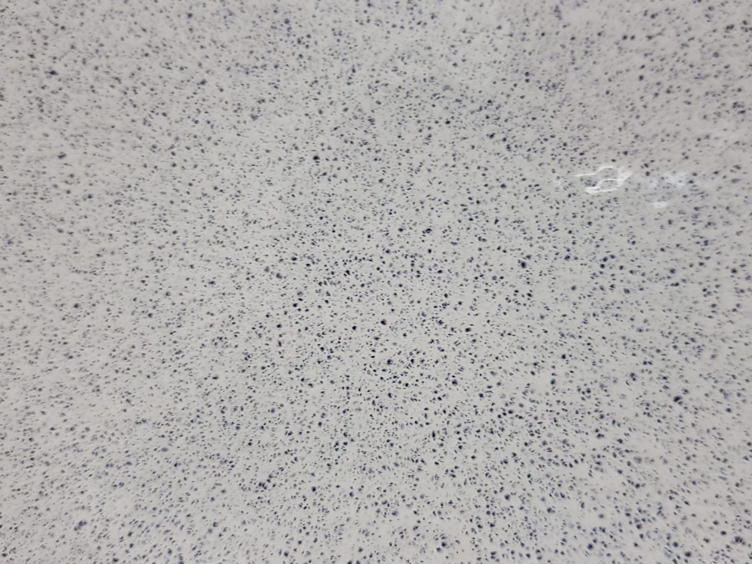 Marble Finishes – GENESIS COATING