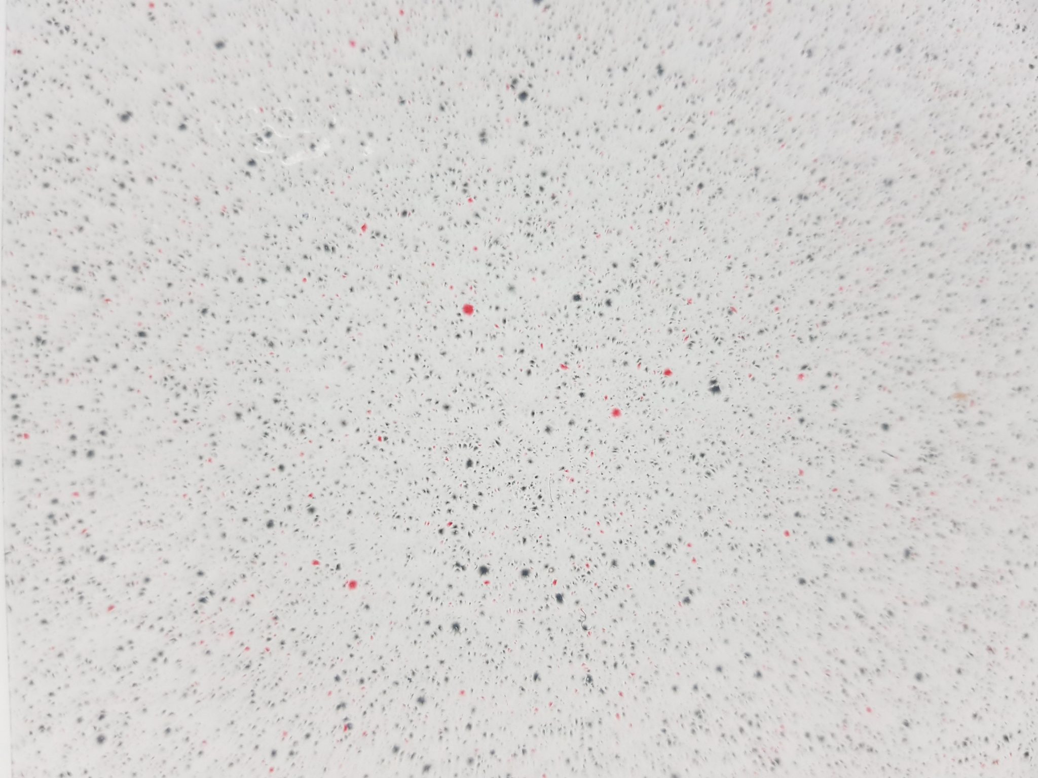 Marble Finishes – GENESIS COATING