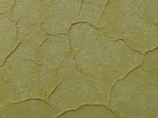 Crocodile Effect – GENESIS COATING
